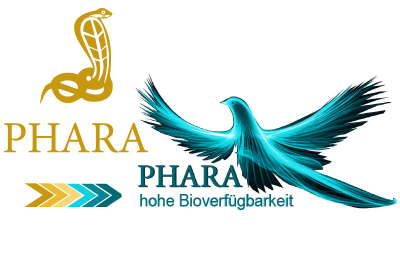 DIE VORSORGEUNTERSUCHUNG DER BESONDEREN ART! – PHARA-Naturprodukte